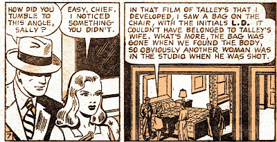 HIL-GLE Wonderblog: Sally the Sleuth Returns