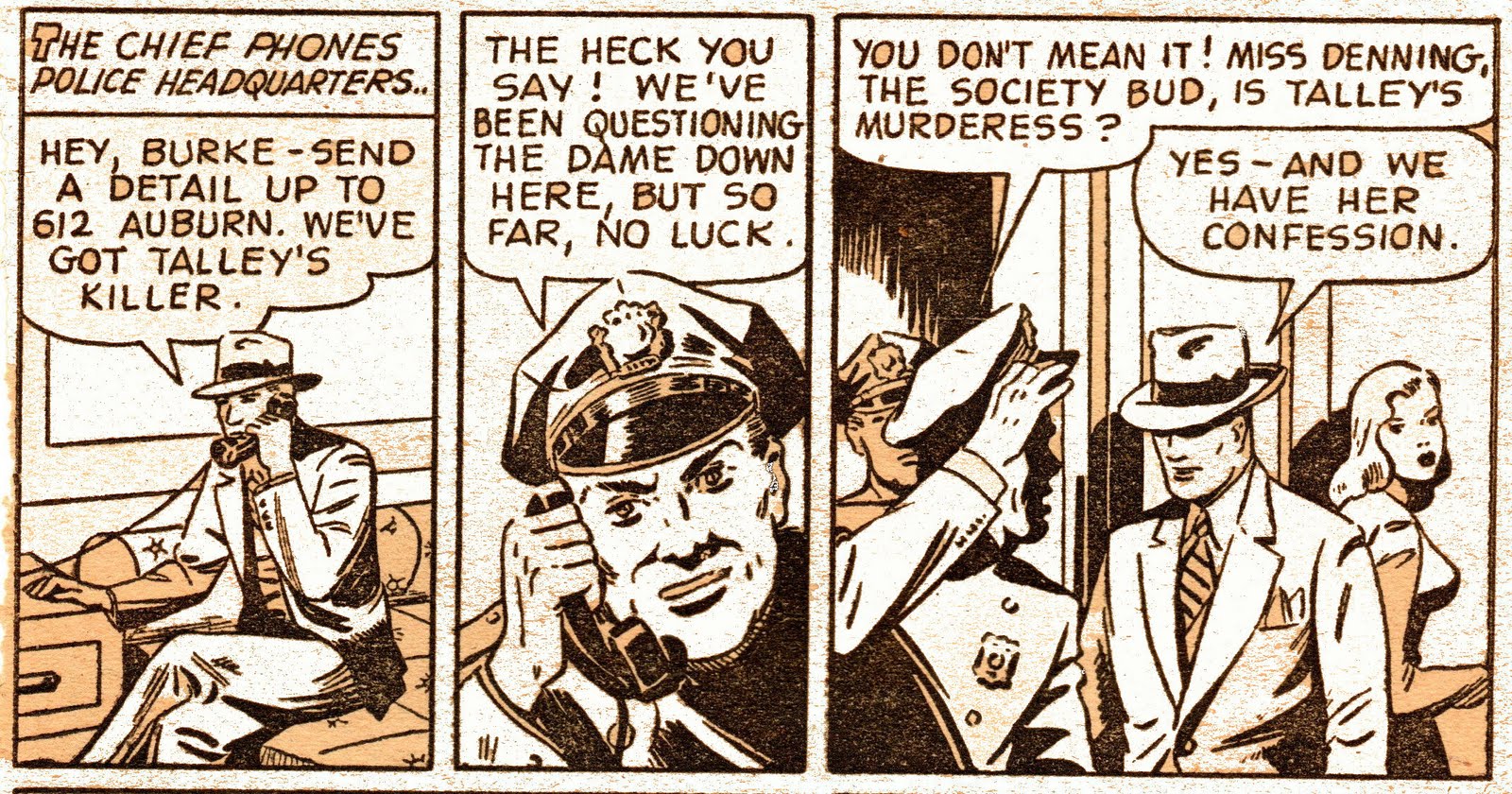 HIL-GLE Wonderblog: Sally the Sleuth Returns
