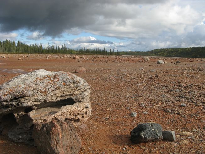 Gone To Smell the Roses: The Salt Flats of Wood Buffalo National Park