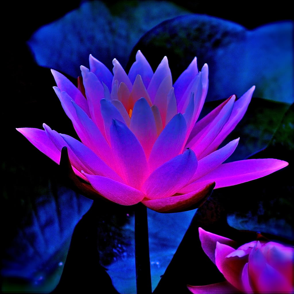 boyfriends are nothing but past times: Symbolization for the Metaphor