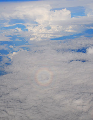 Robin Research: Full Circle Rainbow From Airplane