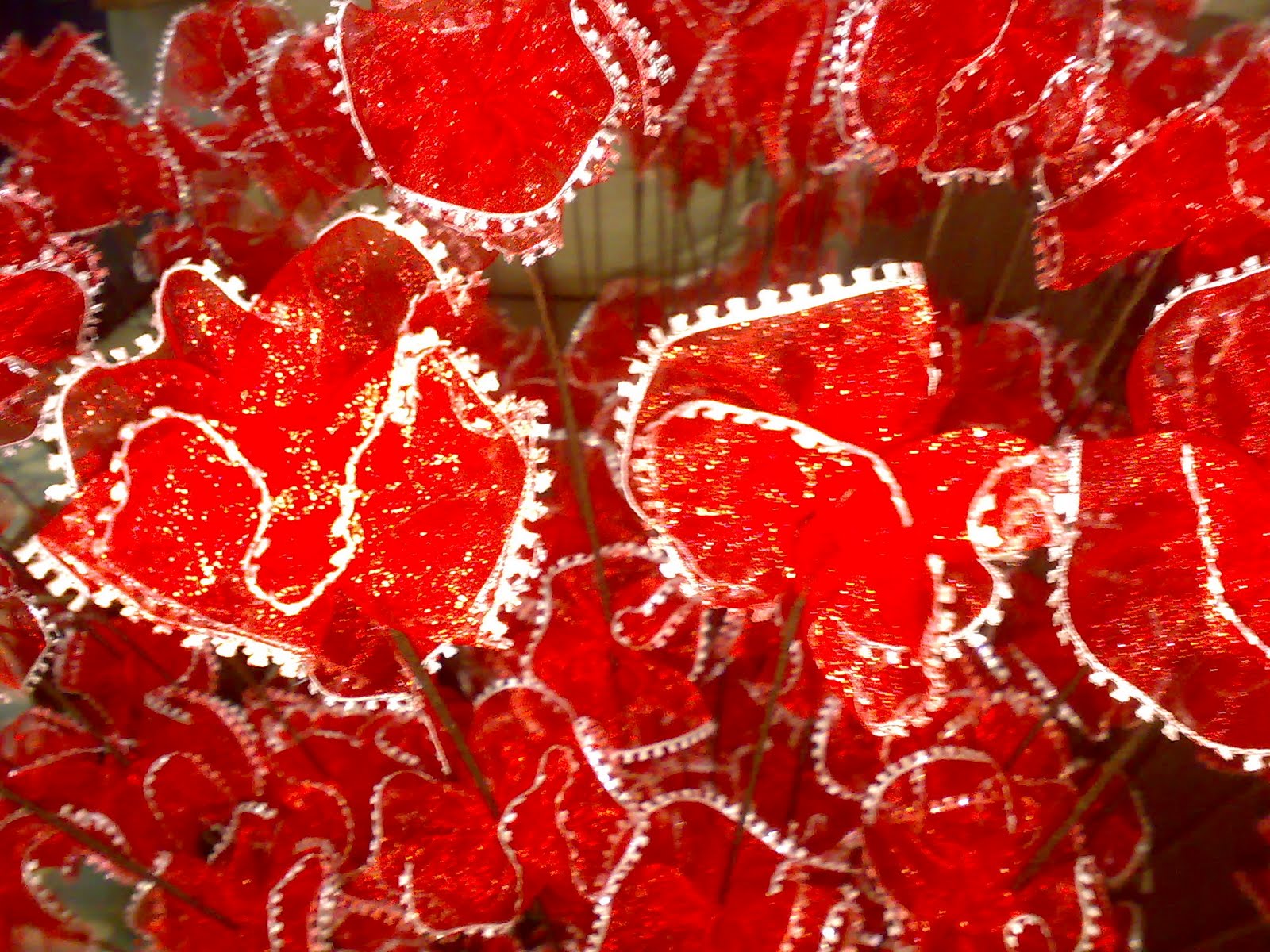 bunga manggar lynnshaari