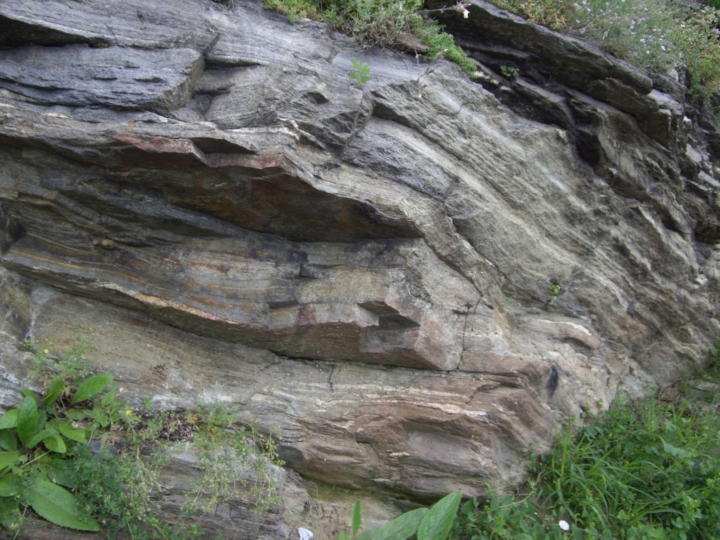 The Wine Lover: Austria - June 2010