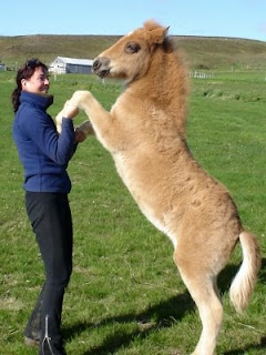 Fsu - Selfoss, Iceland - Daxing middle school nr. 1- Beijing, China ...