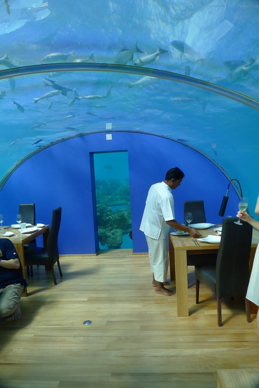 COHEN CENTRAL: THE WORLD IS OUR PLAYGROUND: Ithaa: Underwater ...