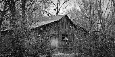 Piks of the Day, and Stuff!: It's Cold, And Snowing...