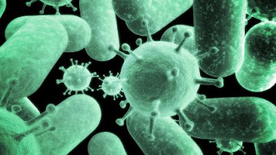 Defence of the Body against Infection and Illness