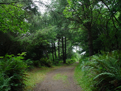 Flitzy Phoebie: Camping On The Copalis River