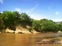 CAMIRI Capital Petrolera de Bolivia: Camiri Fotos