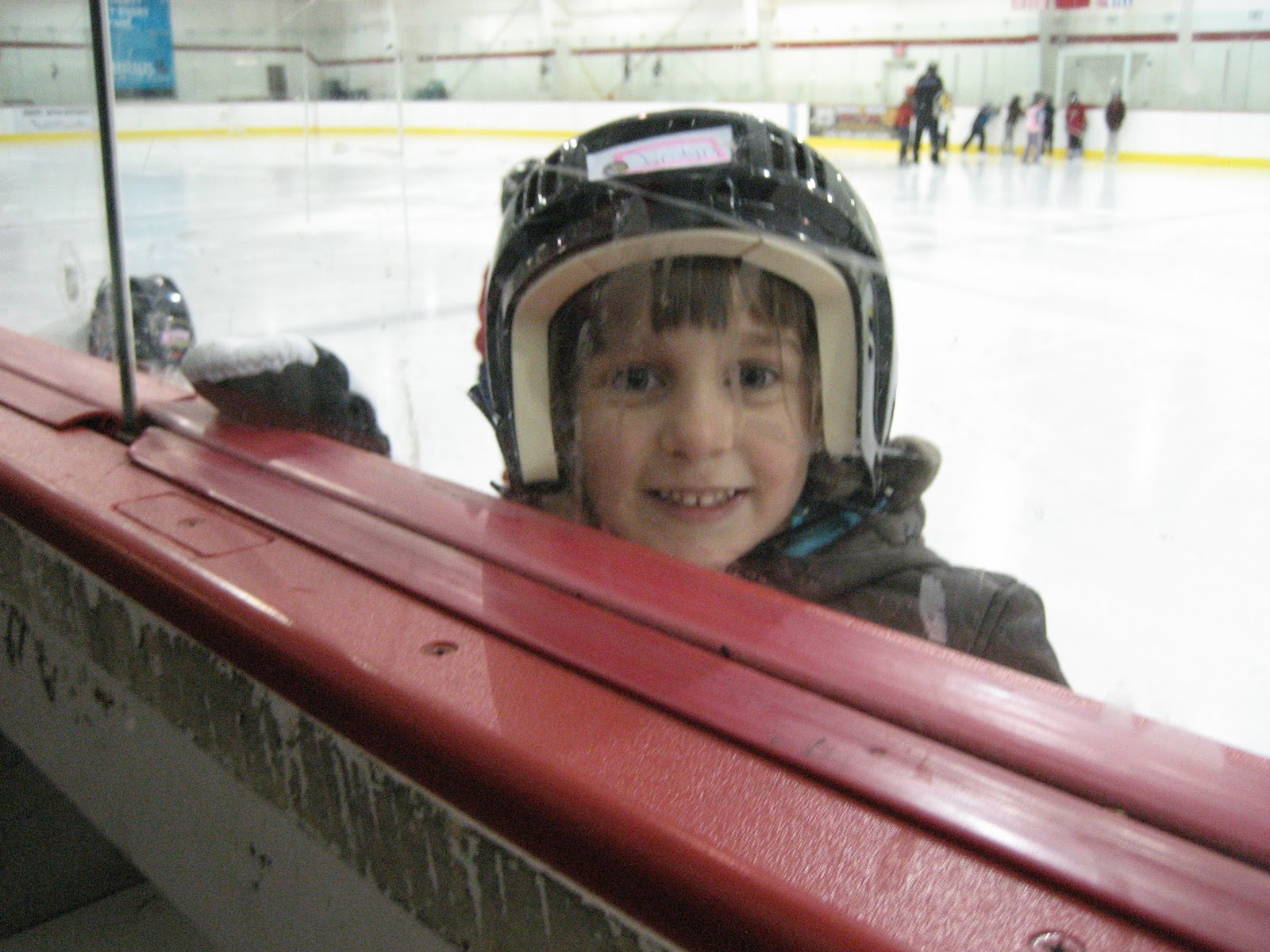 Full House!: Ice skating lesson #2
