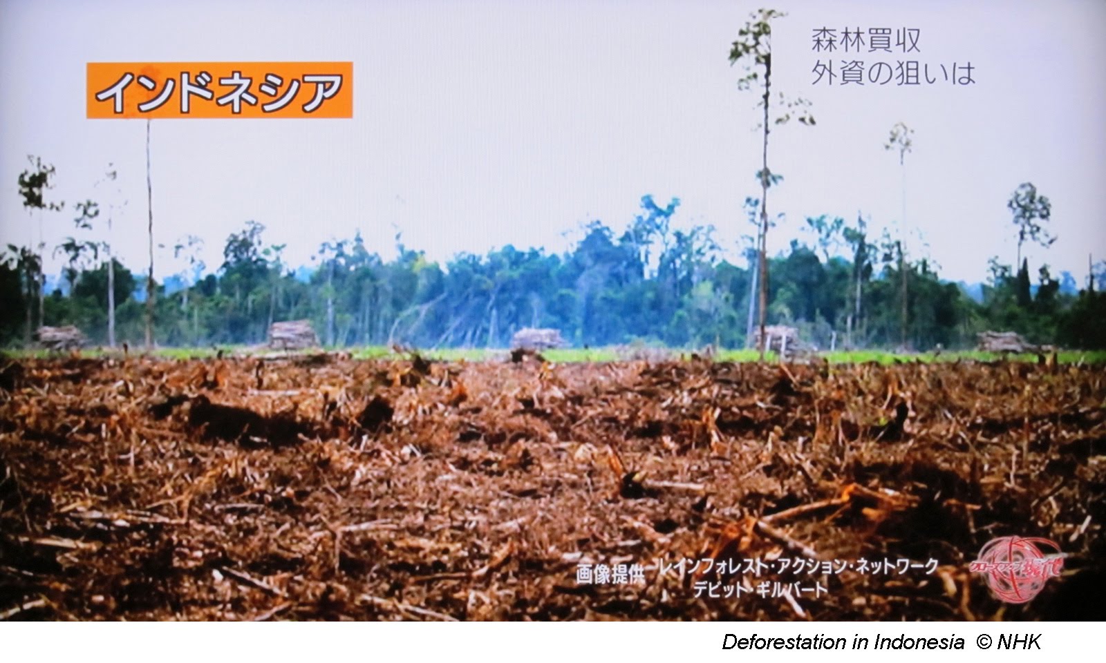 visibeau japon: The Land Bank in Japan – 日本の森林が買われていく