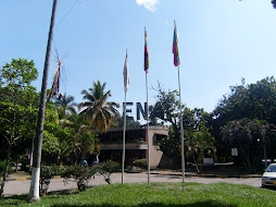 CARNICOS NOTAS: Procesos realizados en obtencion de carne