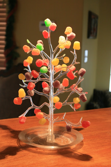 Buzzing and Bumbling: The Story of the Gumdrop Tree