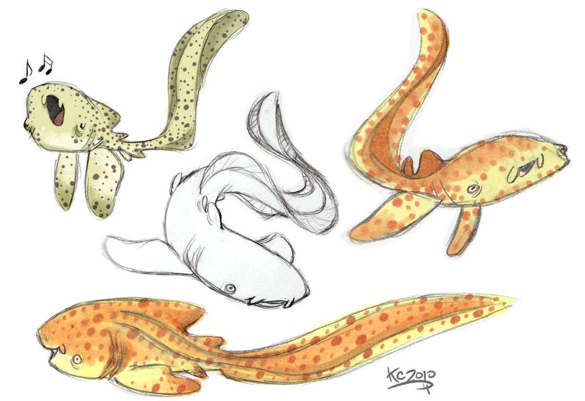 Zebra shark diagram - everOlfe