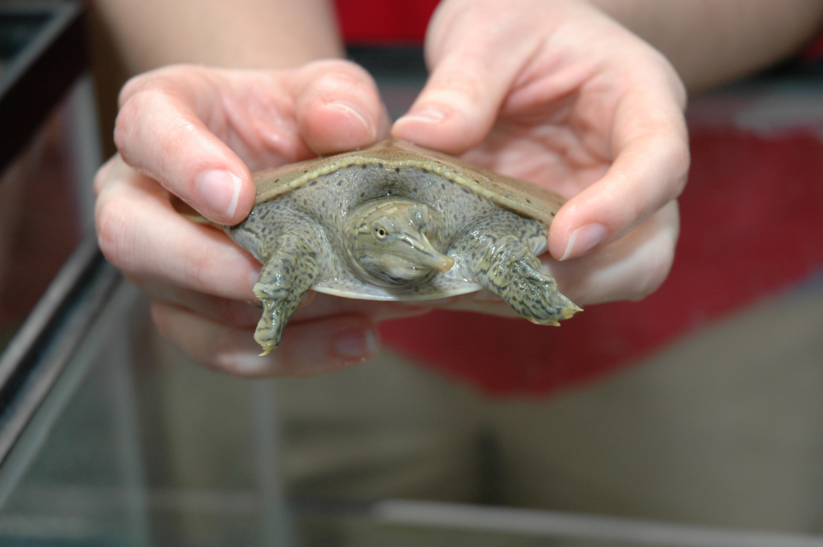 Water Logged: September 2010