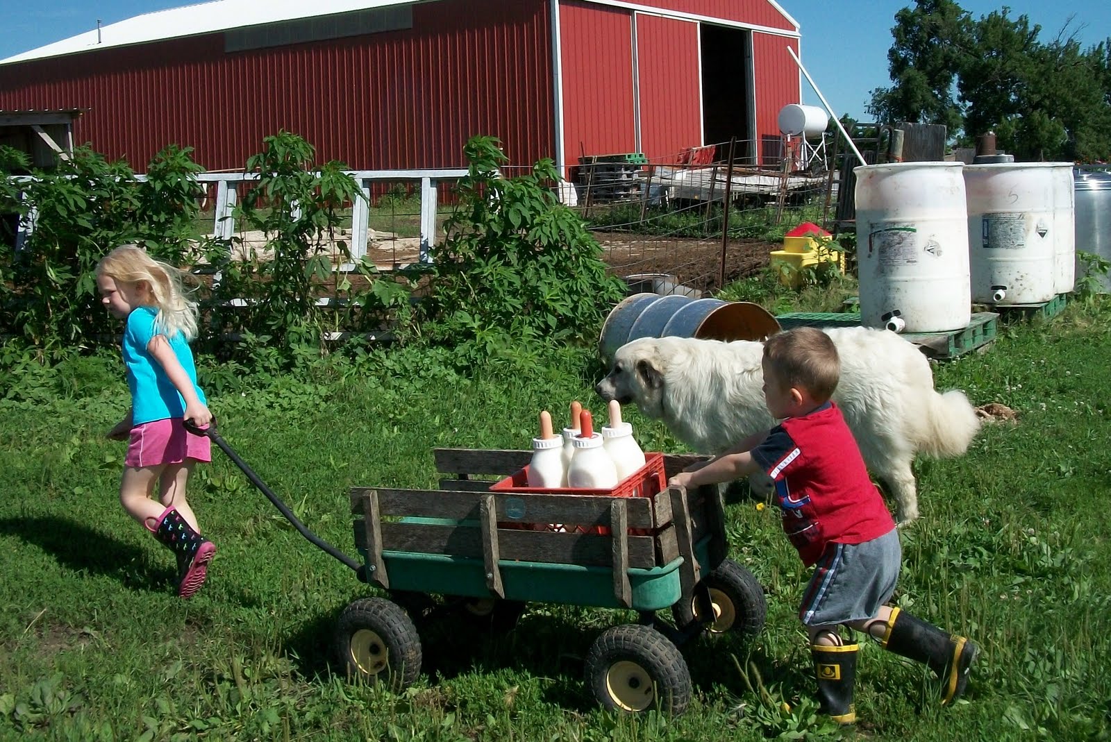 The Midlife Farmwife: Child Labor