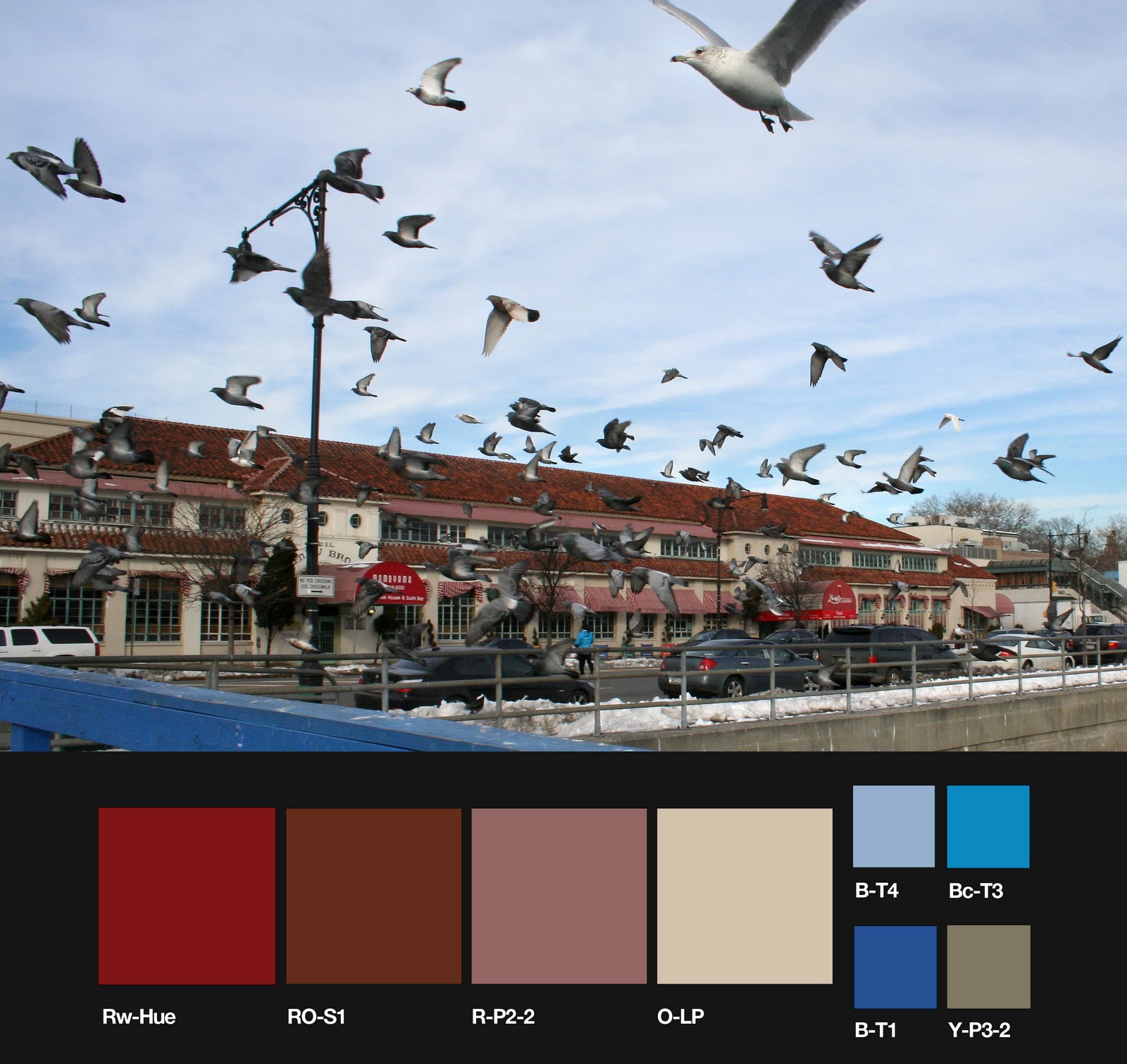 Polina's Color Blog: Homework