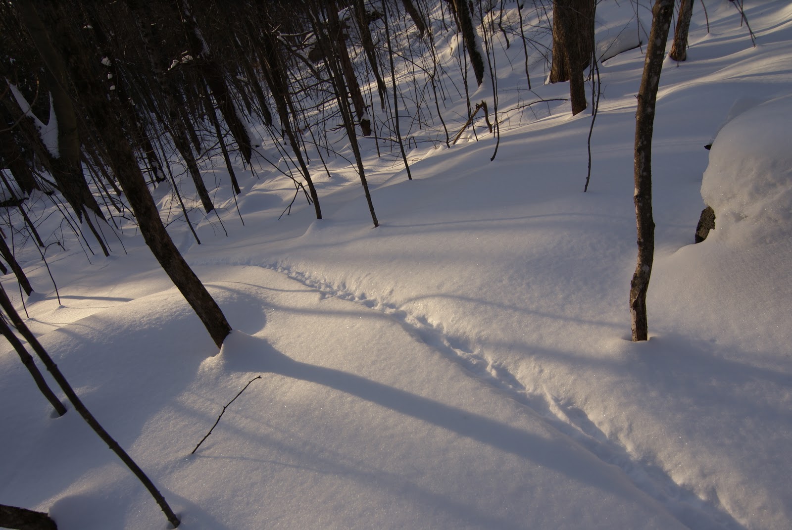jprat jpret wow: Snow Tracks