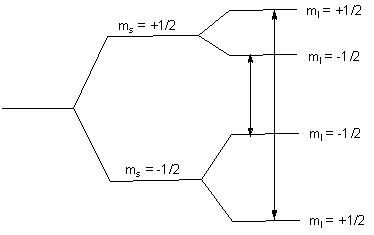 Vanadium Chemistry: Electron paramagnetic resonance (EPR)