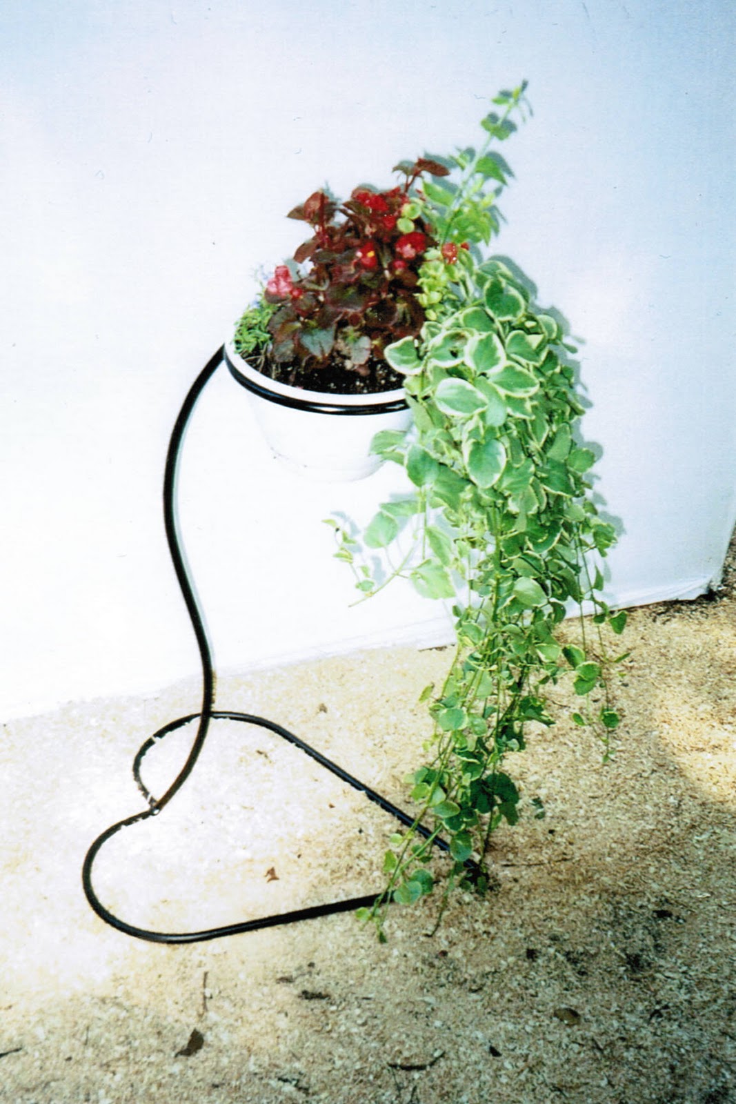 Flower World Map: Flower Pot Pole