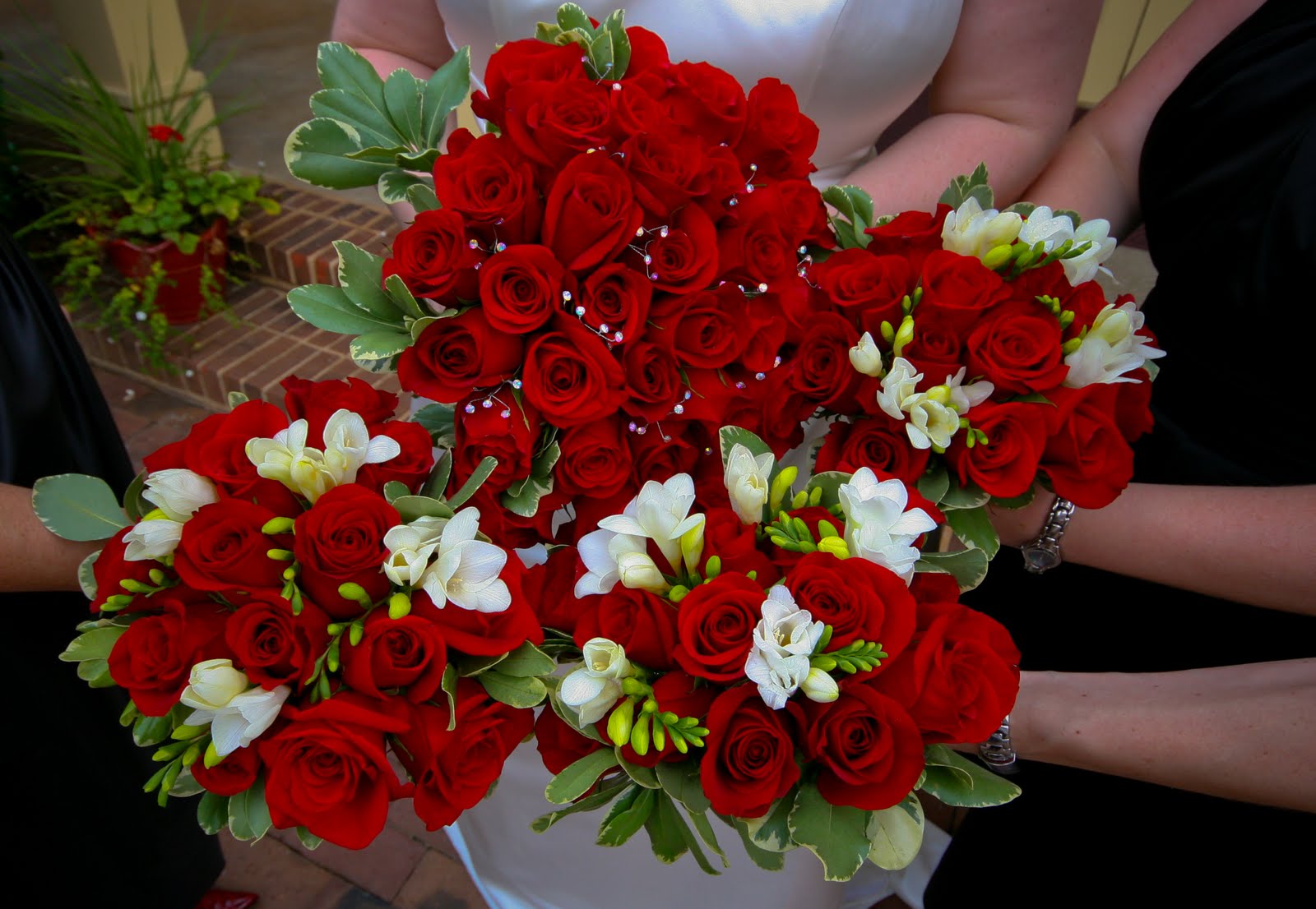 It's YOUR Day Flowers: Classic Red Roses