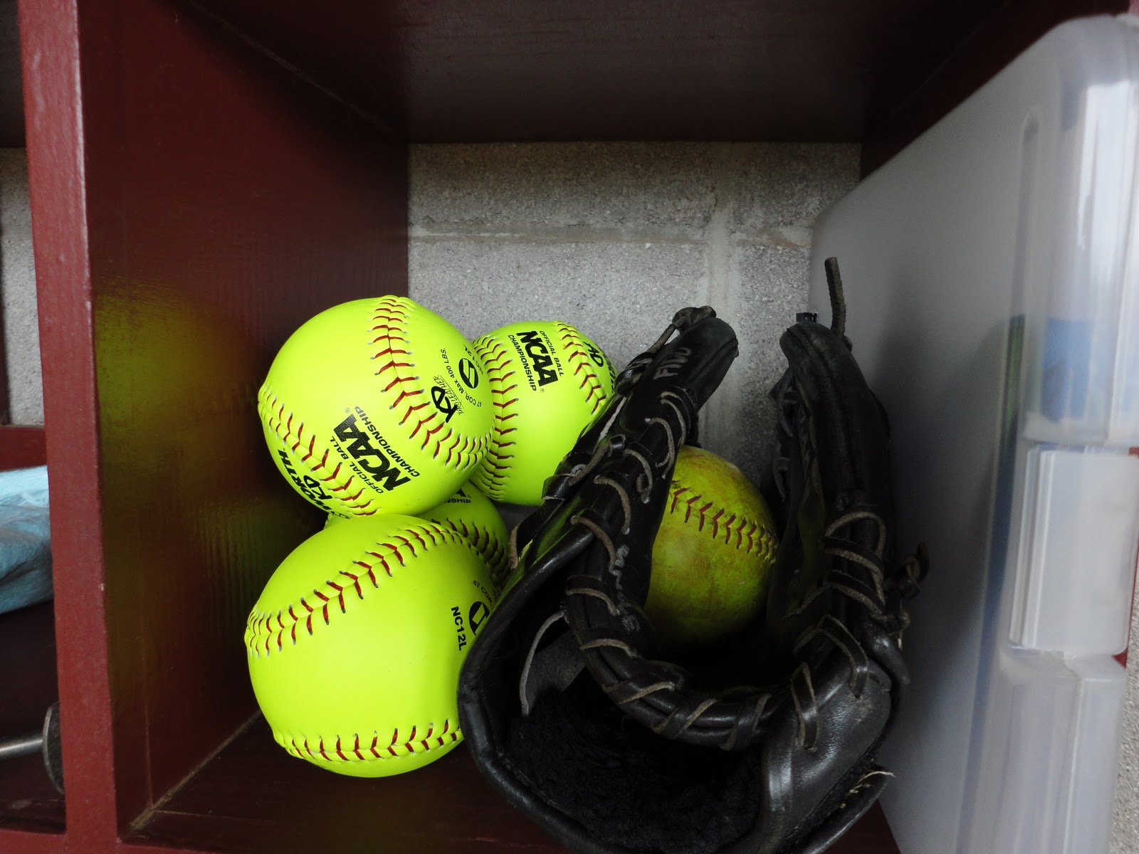 College of Charleston Softball: Practice and camp!