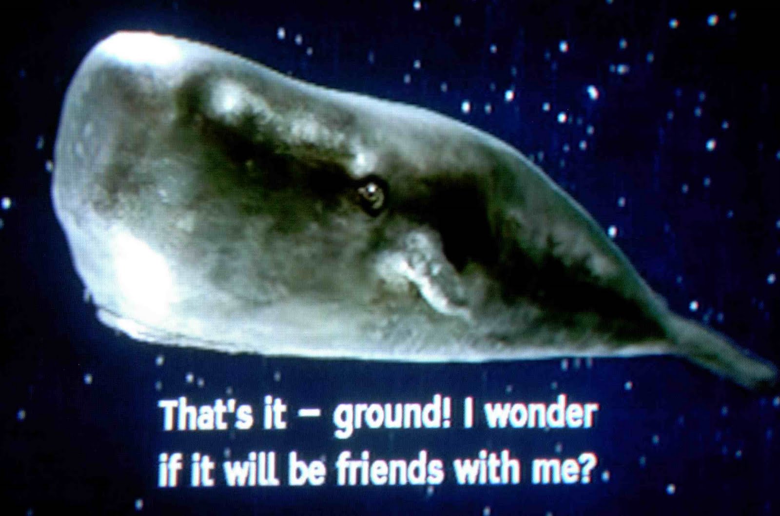 Tywkiwdbi Tai Wiki Widbee The Exploding Whale Video