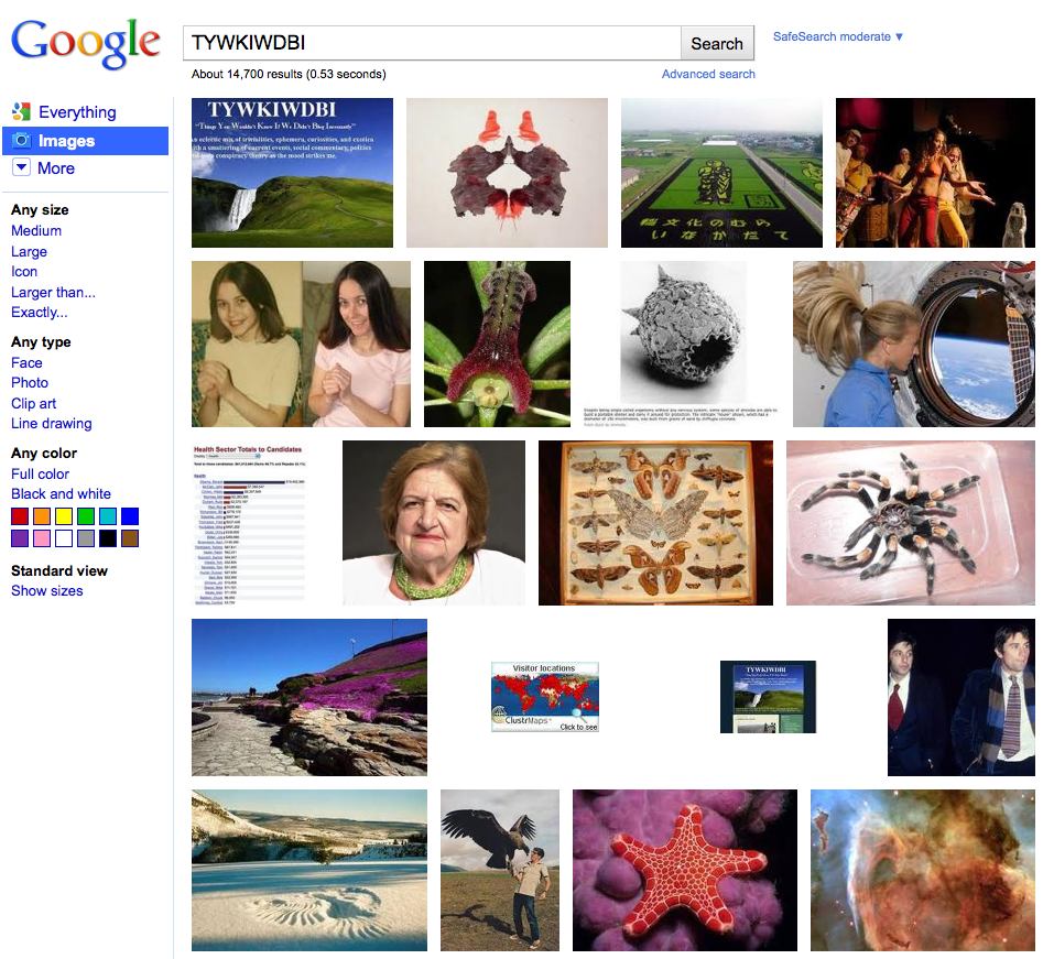 TYWKIWDBI ("Tai-Wiki-Widbee"): Google Images has a new format