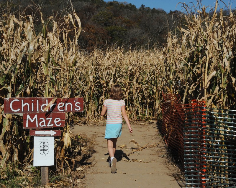 TYWKIWDBI ("Tai-Wiki-Widbee"): Musing about corn