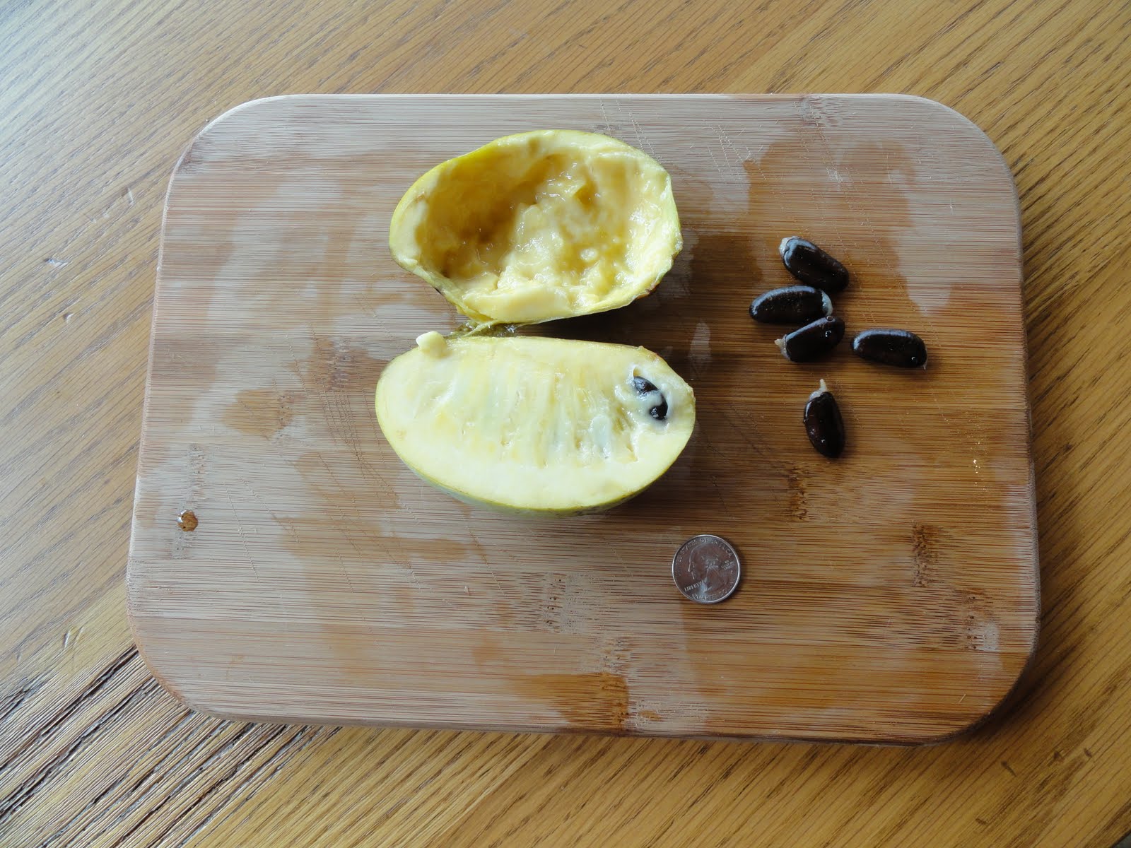 Life at the Blue Rock Ranch: Indiana Banana - The Pawpaw