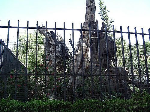 Compartiendo mi opinión: Recordando "La Noche Triste" de los españoles ...