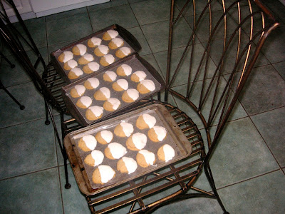 Juggling Frogs: Recipe for Creation Cookies (pareve, vegan) (Half-moon ...