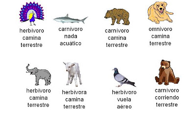 ANIMALES SEGÚN SU ALIMENTACIÓN
