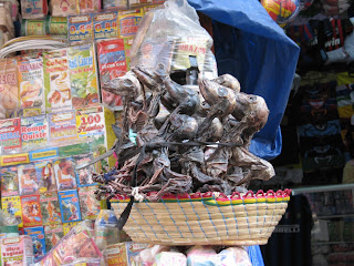 LOST IN PEROU: La Paz et le catch bolivien