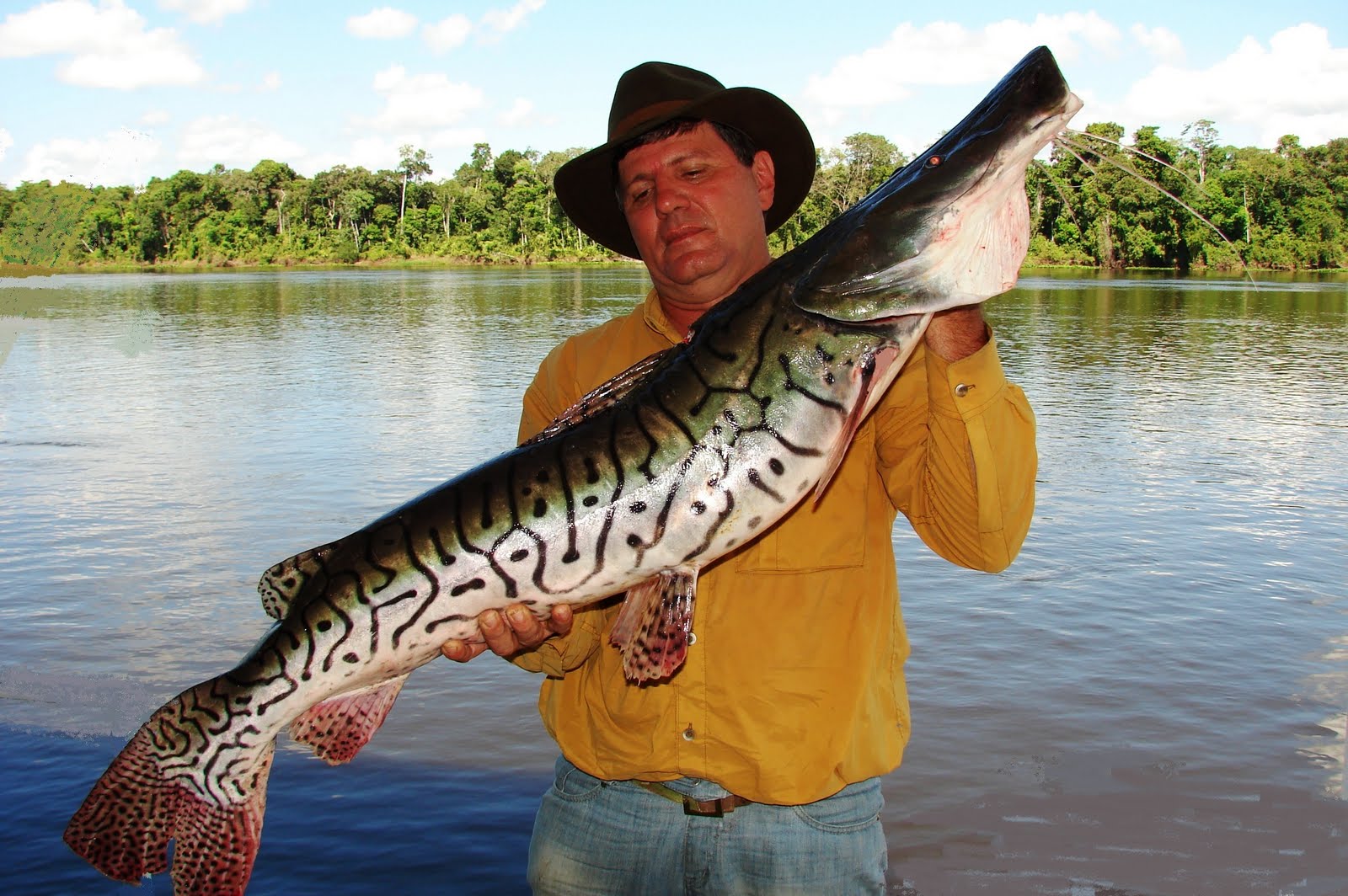 Barco Hotel no Rio Guaporé **BARCO MAANAIM**: BARCO MAANAIM Rio Guapore ...