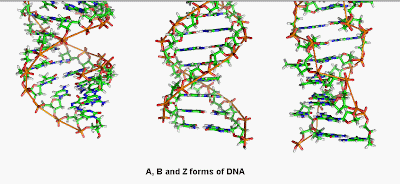 Biology Today And Tommorow: MOLECULAR BIOLOGY