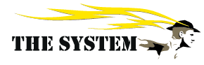The System Basketball