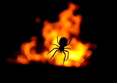 Creative Study: JUXTAPOSITION