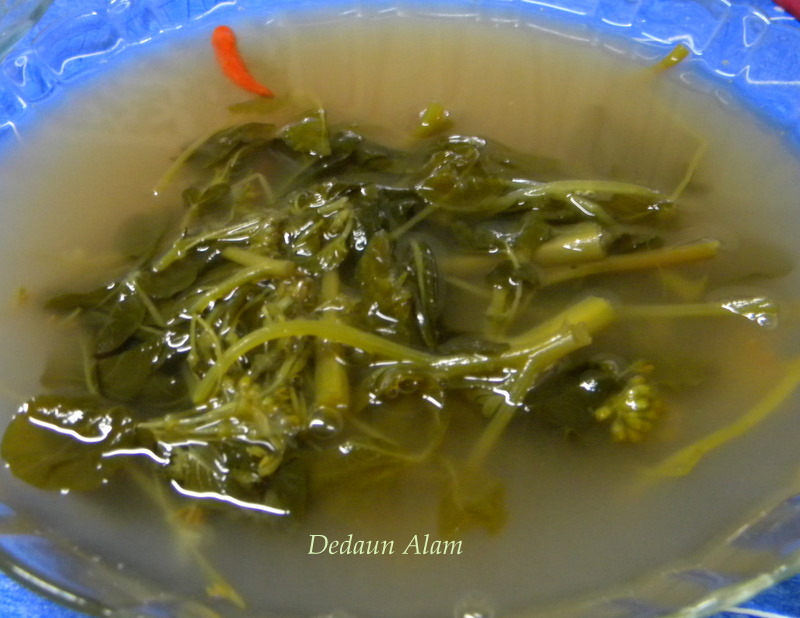 Dedaun Alam: Jeruk Maman