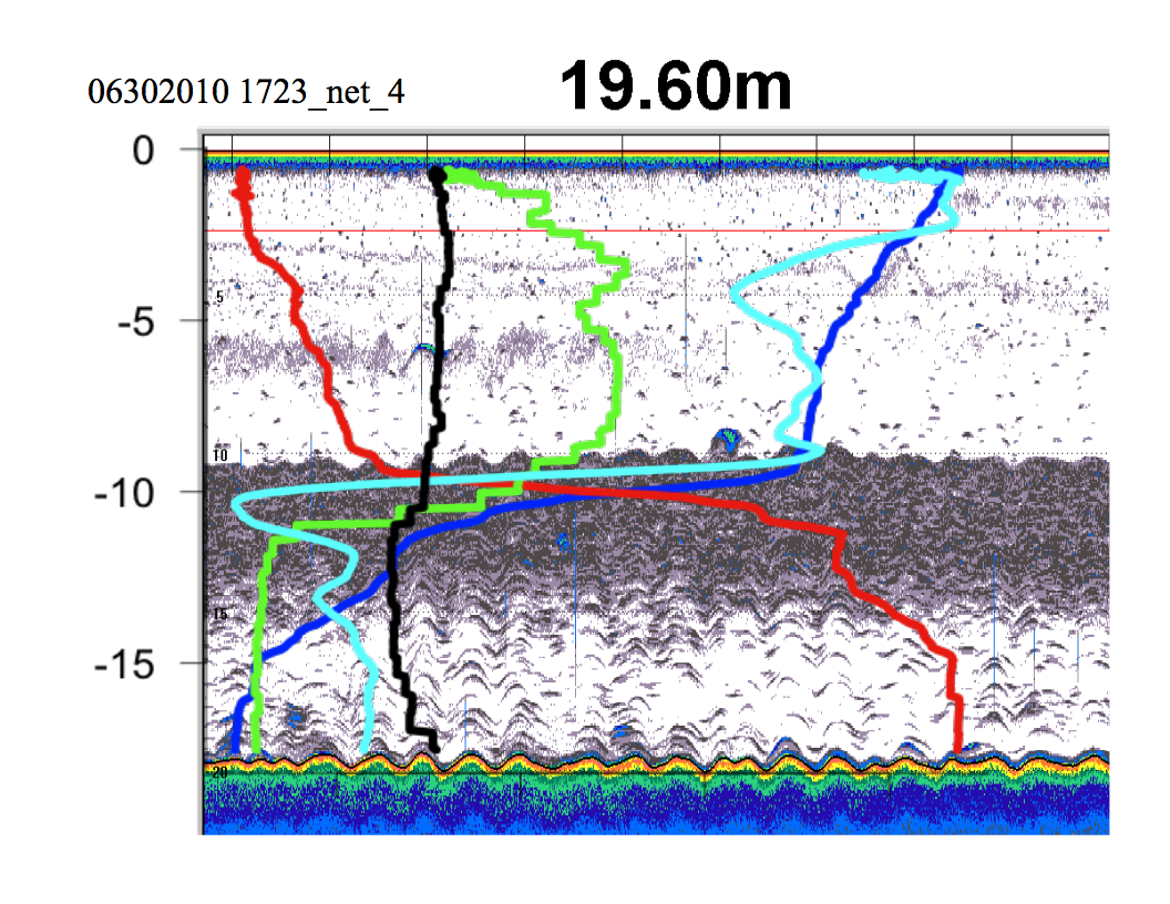 Ecology of Coastal Ocean Seascapes: The vertical structure of the ocean ...
