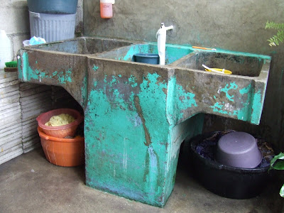 time is for the birds: the amazing pila of guatemala