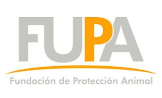 Blog MDI Razo: Proyecto Final - Primera Etapa