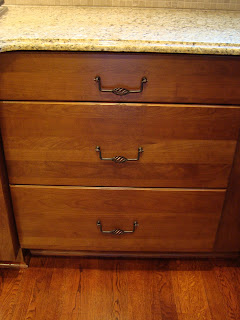 The Evans Family: Design Details