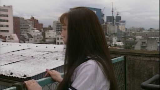 VALHALLAGATE: TERMINATRIX ( 1995 )