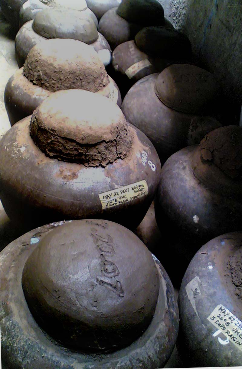 Naturalism - the Eighth Sense: Basi Wine and Ilocos Vinegar Integrated ...