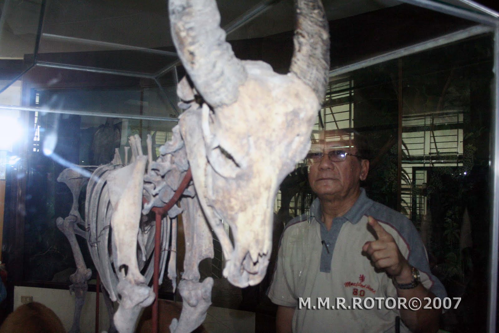 Living with Nature - School on Blog by Dr. Abercio V. Rotor: Let's not ...