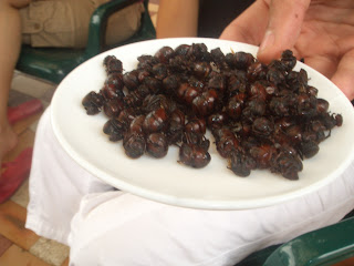 Nomadic mind-burst: Fried Ants from Bucaramanga!