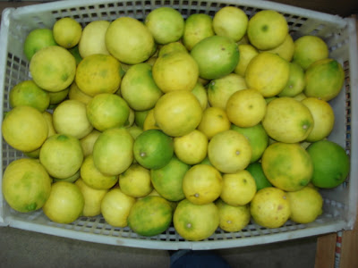 La Crítica: Limon real III