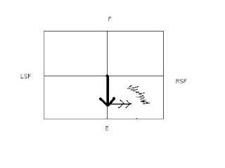 Physiotherapy blog: COMBINED MOVEMENT THEORY