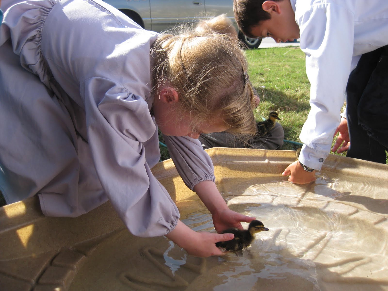 THE FLDS CHILDREN IN PICTURES: THE CHILDREN TODAY